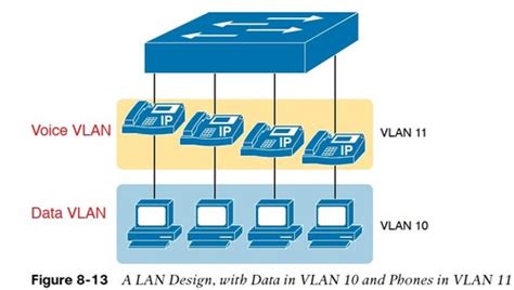 A Configure Verify VLANs Across Multiple Switches Access Ports Data Voice Flashcards