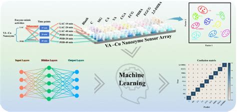 Machine Learning Based Nanozyme Sensor Array As An Electronic Tongue For The Discrimination Of