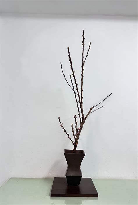 桃園中壢插花教室 生花一種生 桃花 自由花 向日葵 電信蘭 石斛蘭 雪南菊 斑春蘭葉 教室習作 Facebook