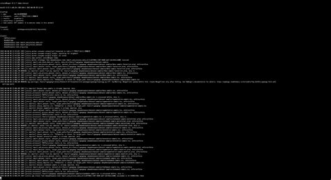 According To The Document It Cannot Be Accessed After Being Installed And Started By Pip