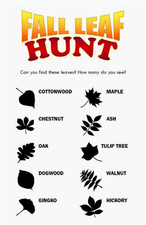 Fall Leaf Names