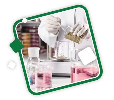 Ayurvedic Formulation Development At Navayur Herbals