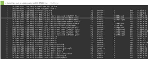 Bug Many Components Can Not Be Ready After Etcd Pod Kill Chaos Test · Issue 23675 · Milvus