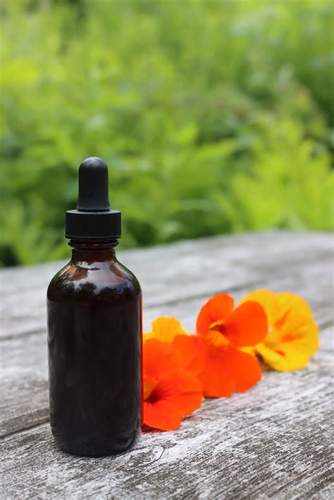 20 Herbal Tincture Recipes For Homemade Herbal Medicine — Practical