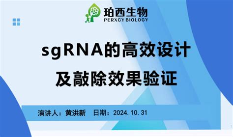 干货满满 基因编辑讲座回顾：sgrna设计与敲除效果验证的前沿探讨 知乎