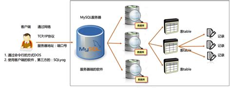数据库入门：从关系型到非关系型——mysql与rdbms概述 Csdn博客