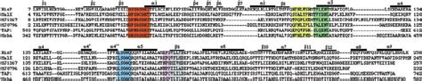 structure based sequence alignment of abc transporter nbds s