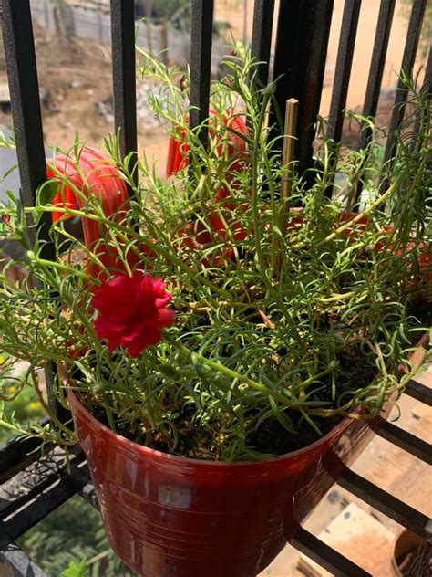 Tarun Jha On Linkedin Leadershipmindfulness Developingpeople Organisationalsustainablegrowth