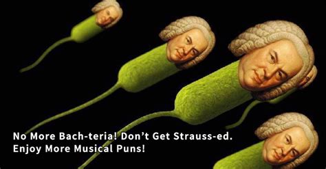 Classical Music Jokes Puns Classical Music Jokes Puns