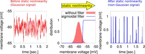 Schematic Representation Of The Model With Static Nonlinearity Voltage