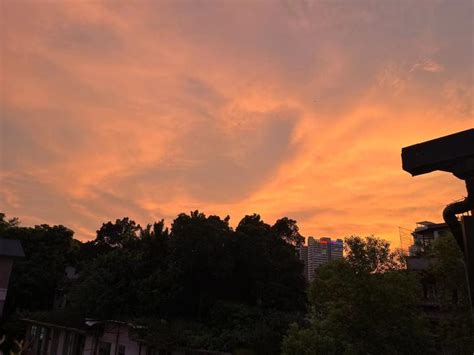 Vue 如何动态绑定class 知乎