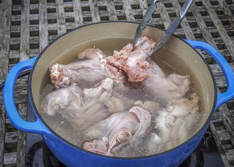 Simple Info About How To Cook Snapping Turtle Welfareburn20