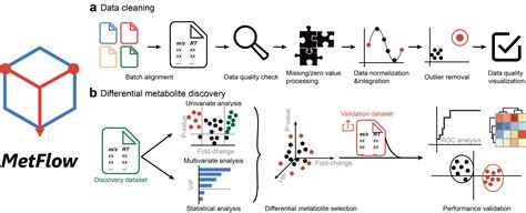Metflow Zhu Research Group