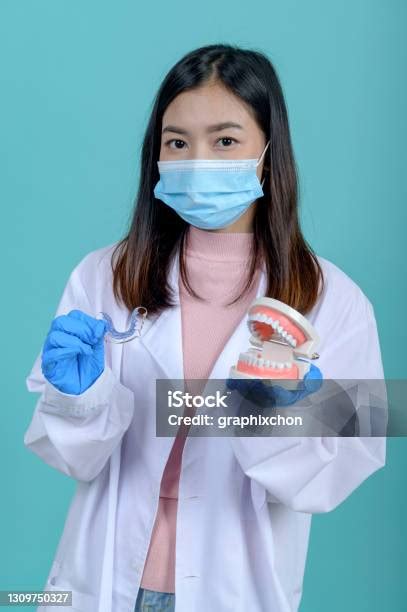 치아 모델과 치열 교정 보유자를 파란색 화면 배경에 들고있는 치과 의사 여성 치과 치료와 건강한 치아 20 24세에 대한 스톡 사진 및 기타 이미지 Istock