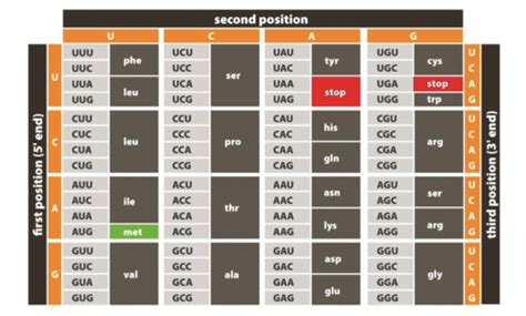 GEOG 1350 Midterm Review Flashcards Quizlet