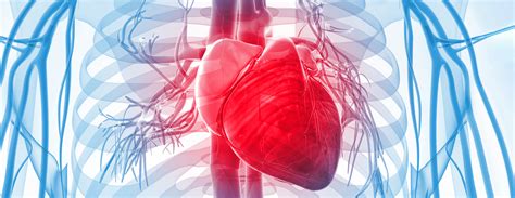 Alcohol Septal Ablation Conditions And Treatments Ucsf Health