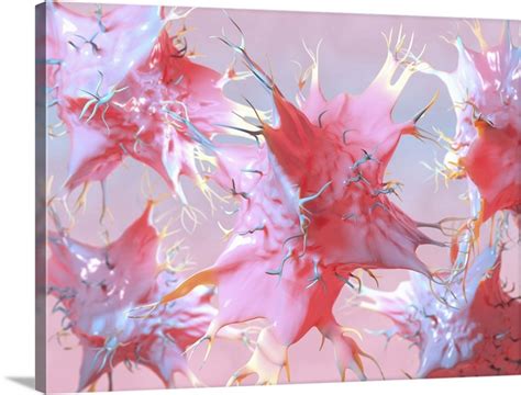 Dendritic Cells Artwork Great Big Canvas
