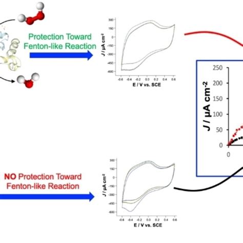 A Schematic Representation Of A R‐top P‐pd Mwcnts G Electrode Download Scientific Diagram