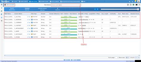 bdi and bdp bulk data ingestion and bulk data profiling rightdata
