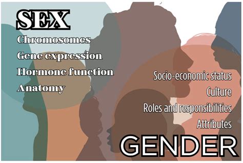 Microorganisms Free Full Text Sex And Gender Based Analysis On