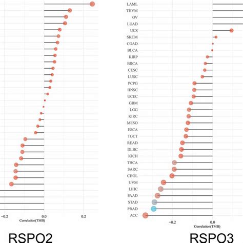 Spearman Correlation Analysis Of Tmb And Rspos Expression The Abscissa