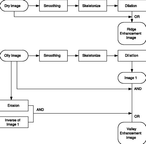 figure 1 from adaptive fingerprint image enhancement with fingerprint