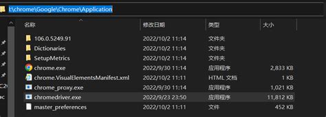 关于python爬虫中chromedriver的路径配置问题chromedriver放在哪个目录下 Csdn博客