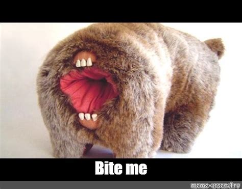 Meme Bite Me All Templates Meme