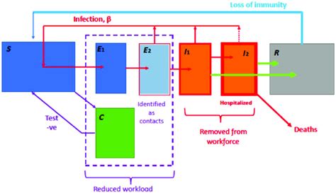 Flow Diagram Of The Epidemiological Components Of The Model Described Download Scientific