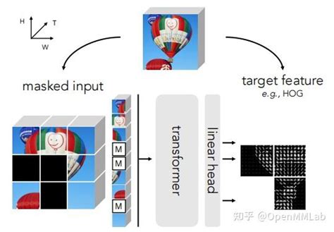 自监督学习系列三基于 Masked Image Modeling 知乎