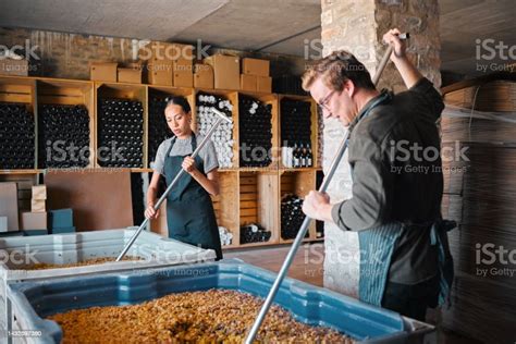 와인 포도원 및 와이너리 창고 또는 증류소에서 과일을 직장에서 장비와 혼합하는 근로자 여성과 남성 와인 메이커 또는 알코올 산업을 위해 포도 주스를 누르는 사람들 발효에