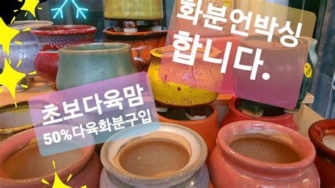 우암도예화분 언박싱 Youtube