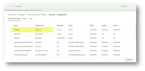 Security Roles And Field Level Security In Dynamics Crm Skysoft Connections