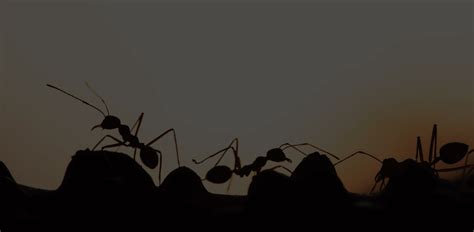 Why Context Matters In Security Metrics Black Kite