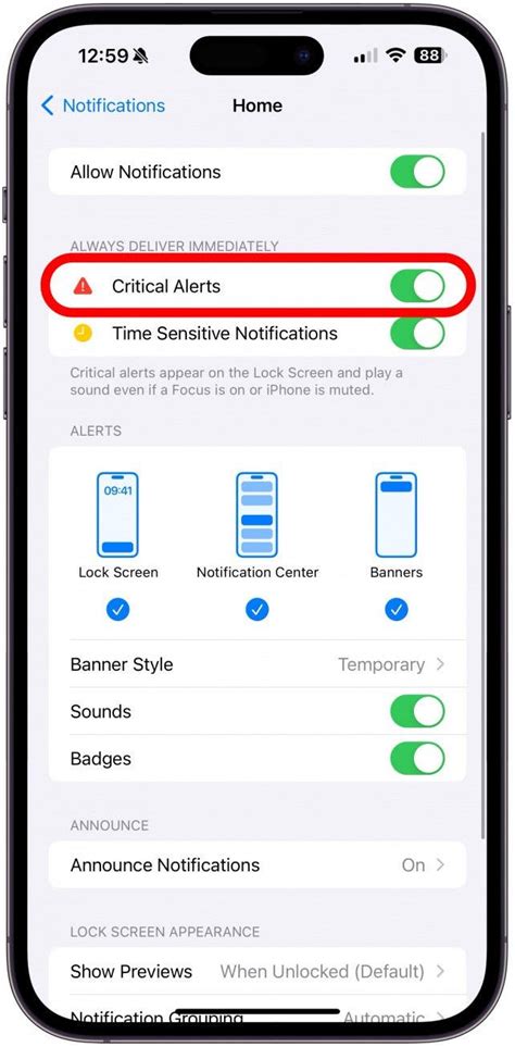 Fixed Iphone Stuck On Home Critical Alerts