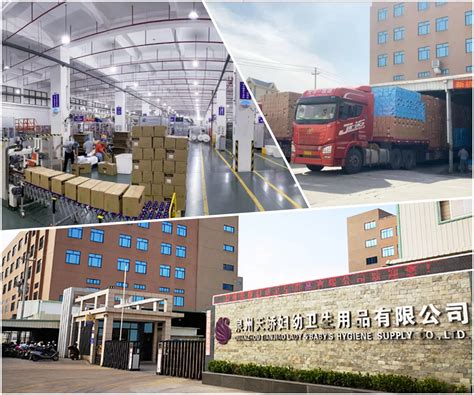 Free Sample Medical Hospital Super Absorption Adult Diapers