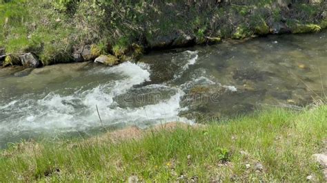 Serene Mountain Stream Flowing Through Lush Green Forest Landscape