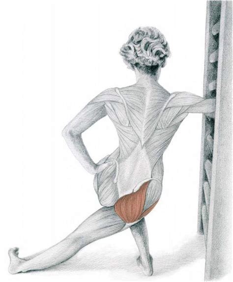 Trigger Point Therapy Treating Piriformis Artofit