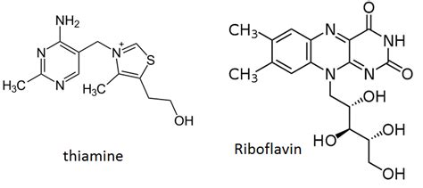 Difference Between Vitamin B And Vitamin B12