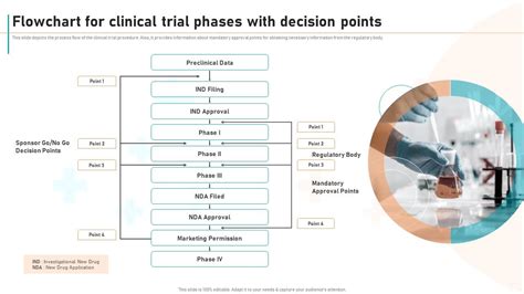 New Drug Development Process Flowchart For Clinical Trial Phases With Decision Points Ppt Slide