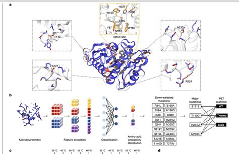 Ml Evolved Enzymes Degrade Plastic Into Monomers