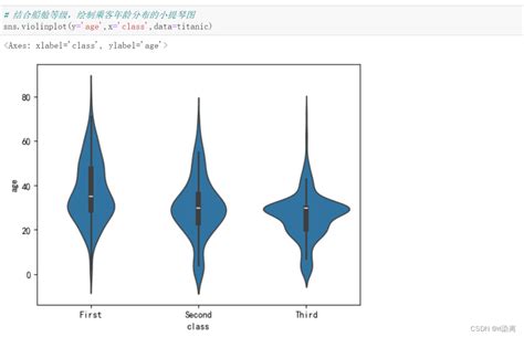 数据分析之 Seaborn 可视化结合船舱等级 绘制乘客年龄分布的小提琴图 Csdn博客