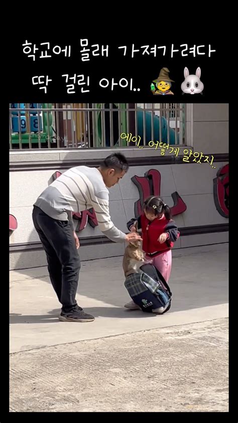 이건뭔데 학교 갈 때 몰래 챙겼다 딱 걸린 아이 Instagram