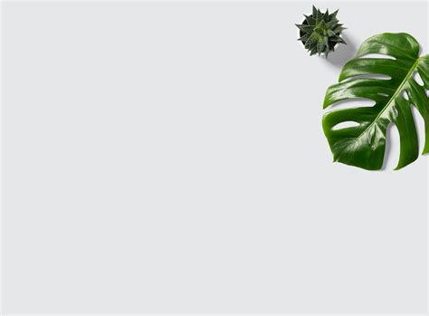 Mockup Background Pictures Download Free Images On Unsplash
