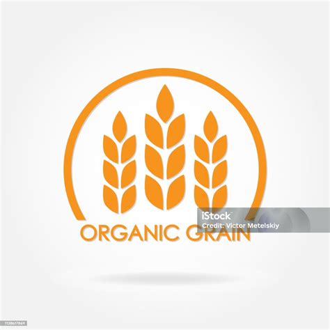 밀 또는 쌀 아이콘입니다 유기 곡물 기호입니다 유기 제품 빵집 빵 건강에 좋은 음식에 대 한 디자인 요소입니다 벡터