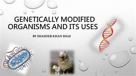 Genetically Modified Organisms Pptx