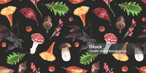 수채화 물감 없는 패턴은 어두운 배경에 날아다니고 나뭇잎 나뭇가지에 있다 사프란 우유 모자 또는 붉은 소나무 버섯
