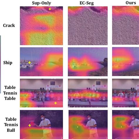 the gradient based class activation map visualization of the download scientific diagram