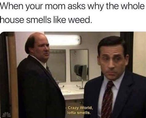 Exactly How Much Pot Did You Smoke Rdundermifflin