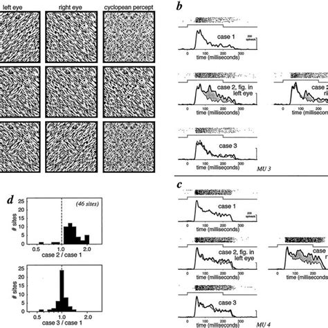 Extra Rf Contextual Modulation And Binocular Rivalry A Illustration Download Scientific